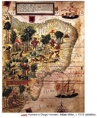 Questão 6 Conhecimentos gerais - Elite Colégio e Pré-Vestibular