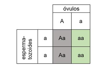 Questão 87 1ª fase - Elite Colégio e Pré-Vestibular